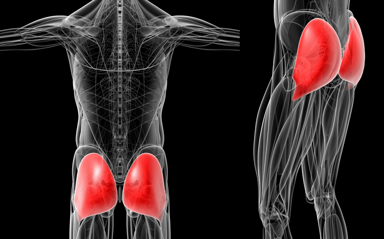 Strong buttock muscles, why it becomes more important from middle age ...